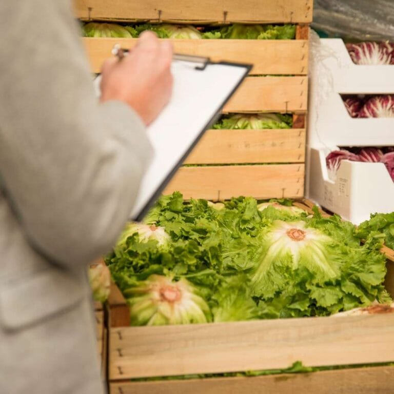 7 Key Stages of the Food Manufacturing Process Flow | Mr. Business Magazine